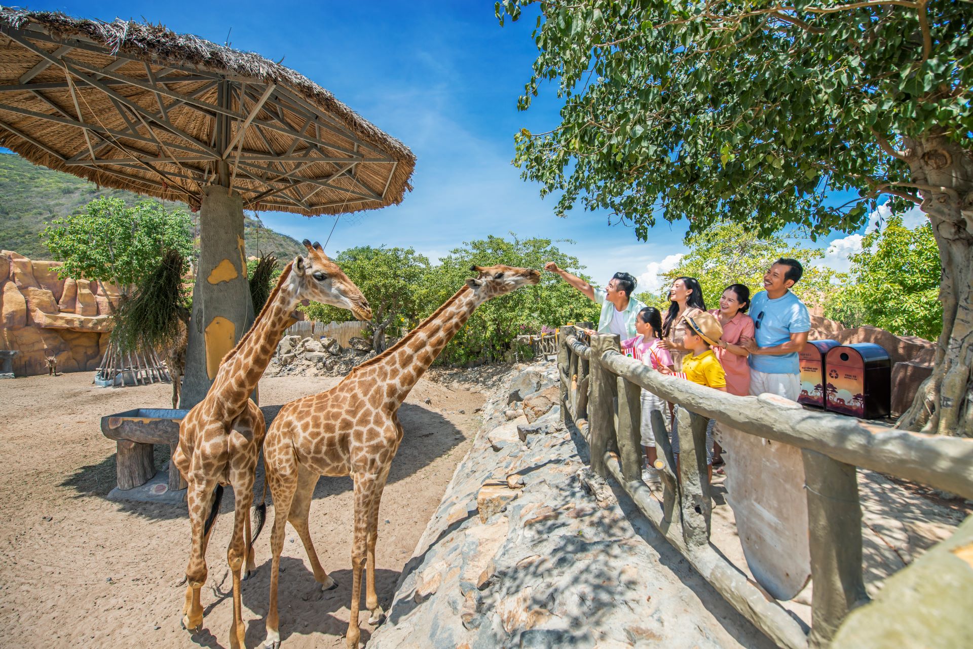 Top 8 roller coasters in Vietnam for a thrilling ride